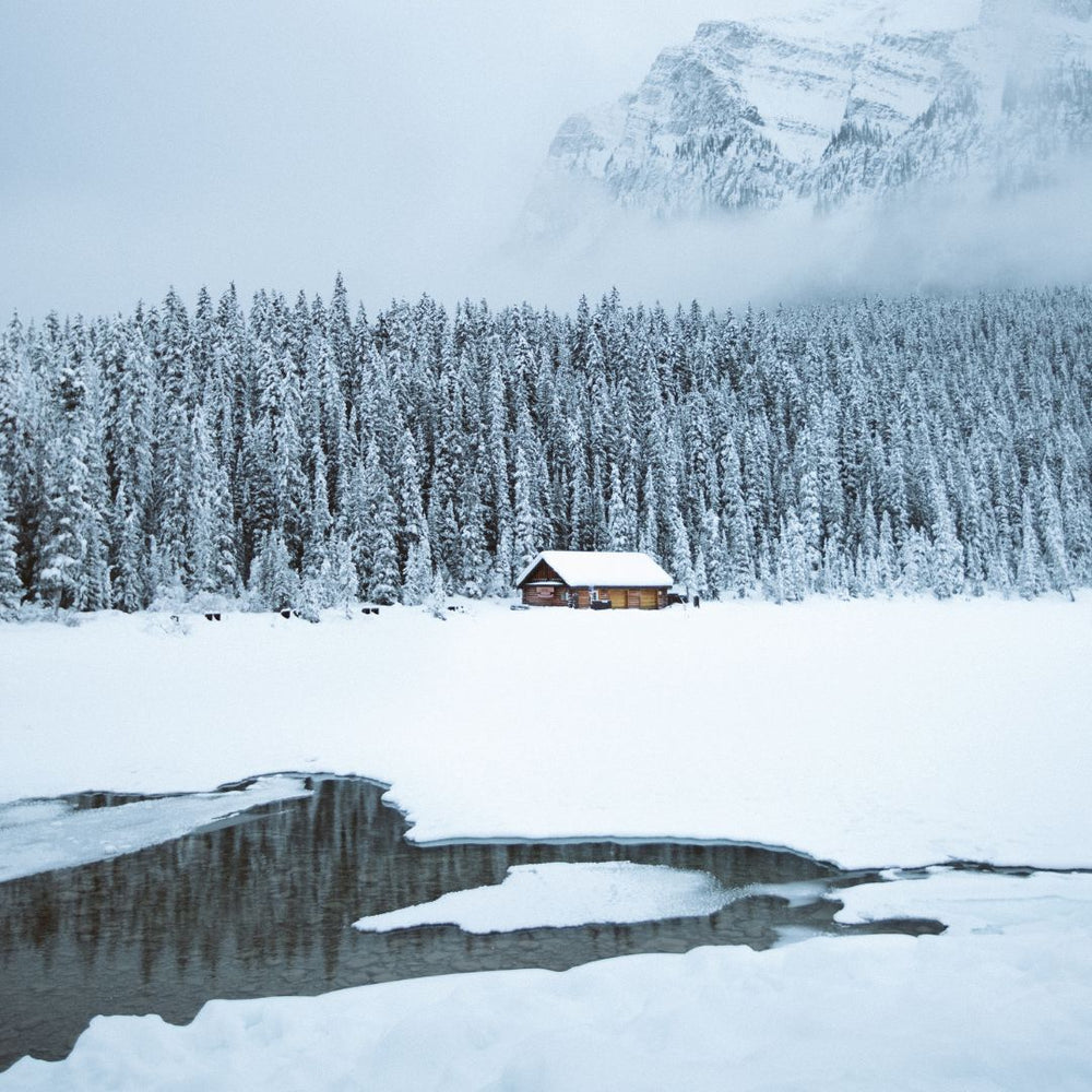 What Is Cold Plunge | The Sculpt Society